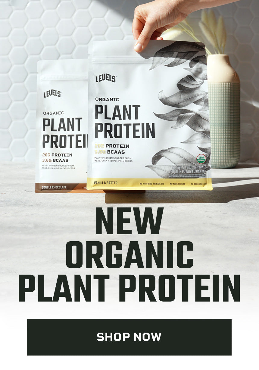 Levels - Nothing Fake. Ever.