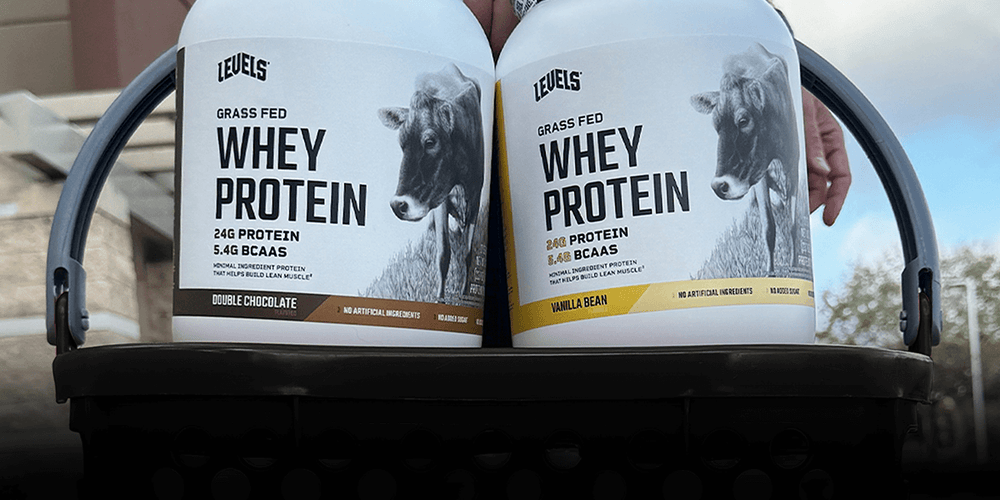 Levels - Nothing Fake. Ever.